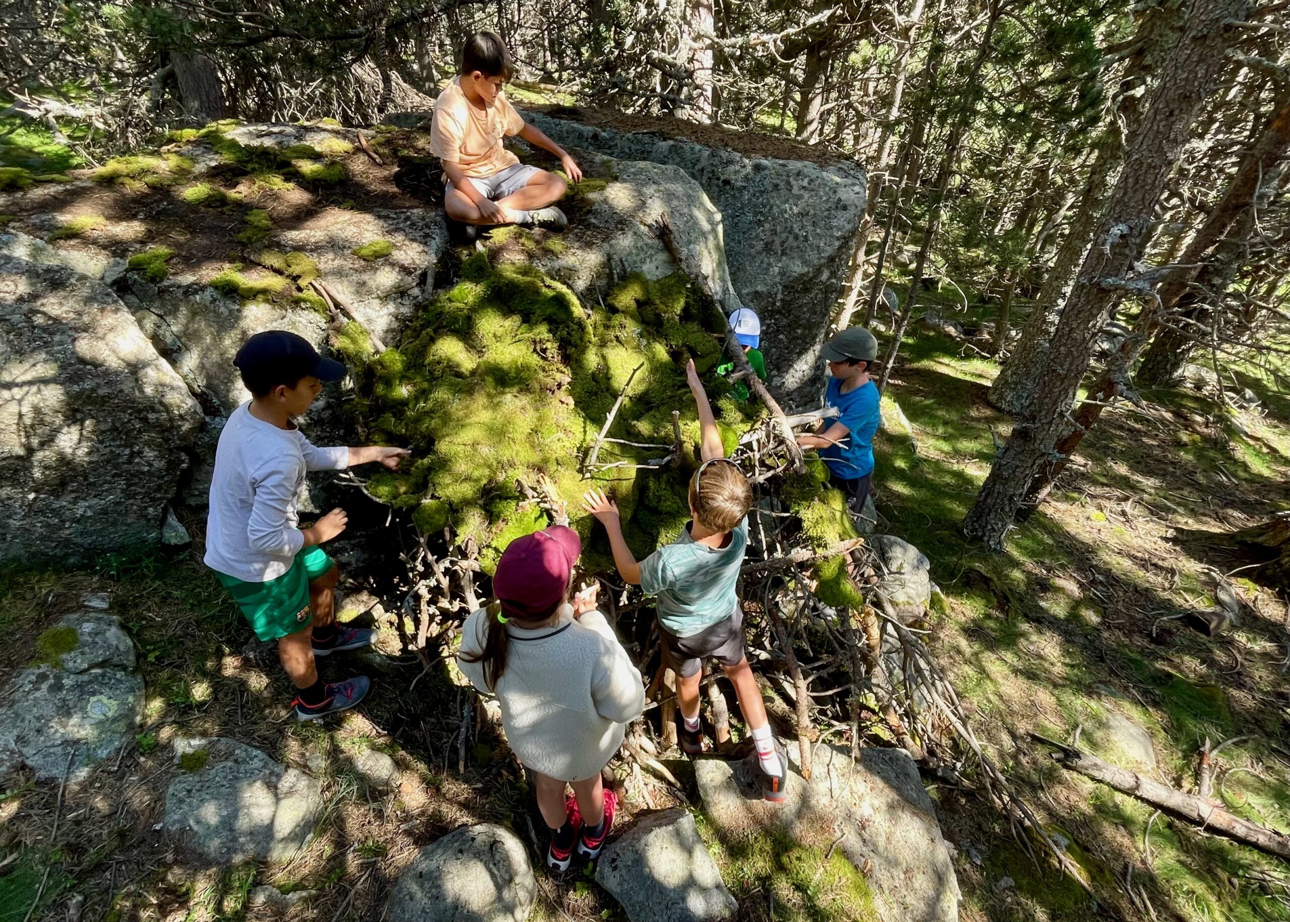 MOLT MÉS QUE CABANES - PYRENE SUMMER CAMP 2025